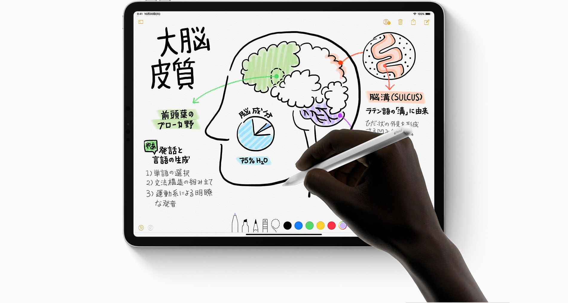 IPad Pro SoftBank ipad-pro-softbank